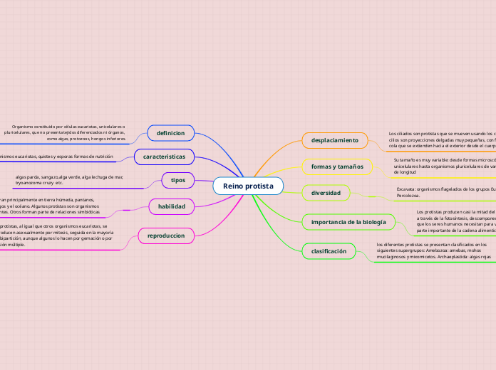 Reino protista - Mind Map